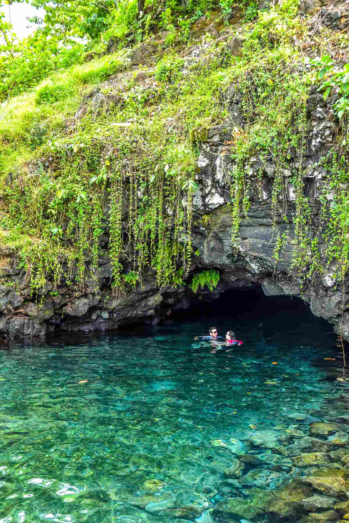 Samoa Food Itinerary: 10 Days - Samoa Pocket Guide