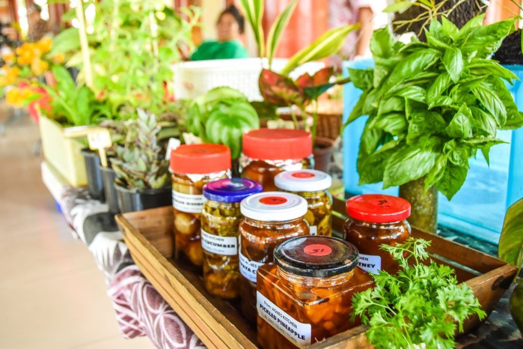 Samoa Food Itinerary: 10 Days - Samoa Pocket Guide