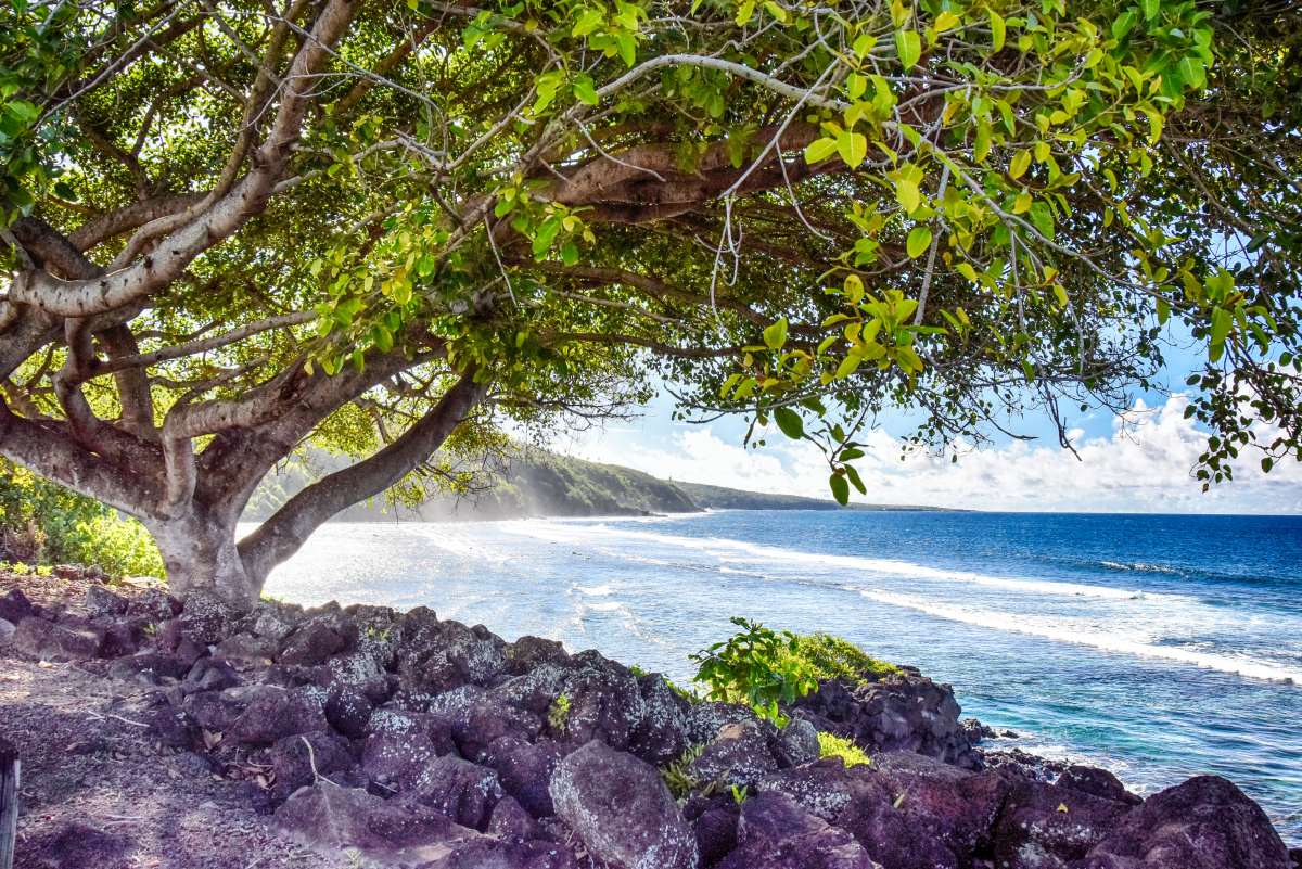 The Backpacking & Budget Travel Guide to Samoa ⛱️ [2025]