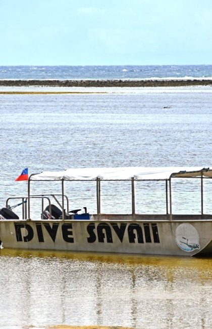 Learn to Dive in Samoa: Where to Get Your Scuba Diving Certification