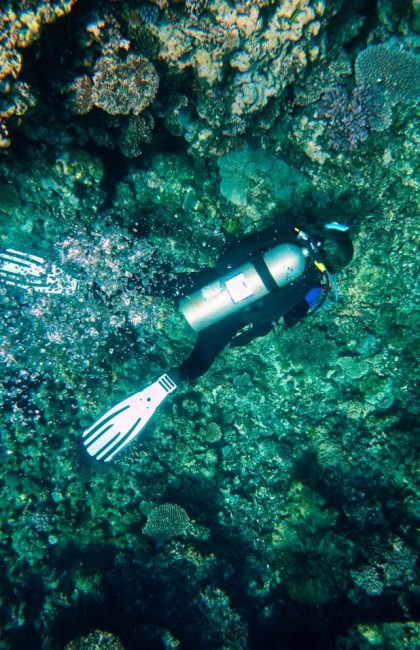 The Best Time to Dive in Samoa - Samoa Pocket Guide