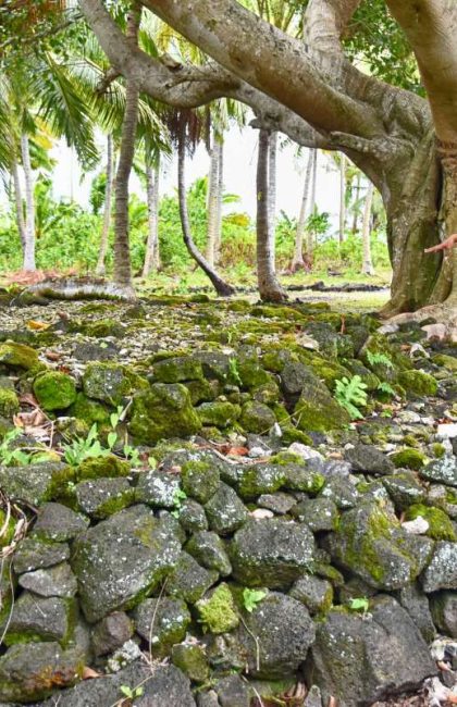 A Brief History of Samoa 📜 - Samoa Pocket Guide