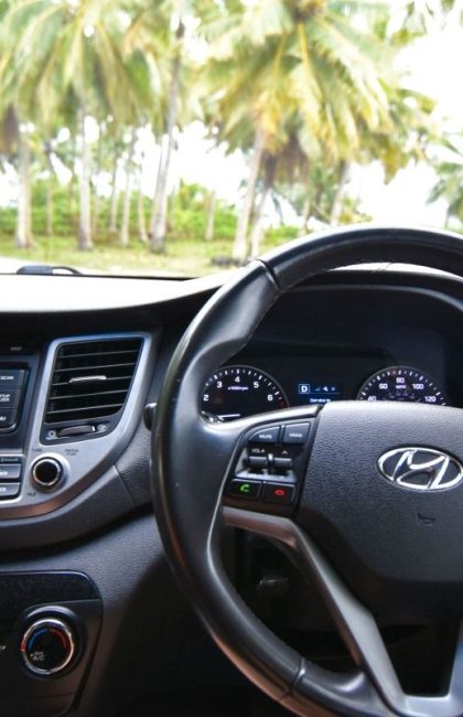 How to Hire a Driver in Samoa: A Guide to Private Drivers in Samoa ...