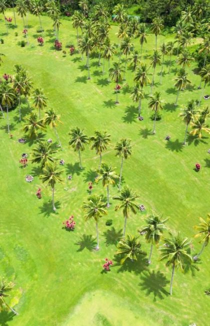 The Complete Guide to Golf in Samoa ⛳ - Samoa Pocket Guide